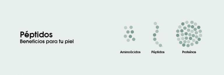 Péptidos: beneficios para tu piel - The Moisturizer